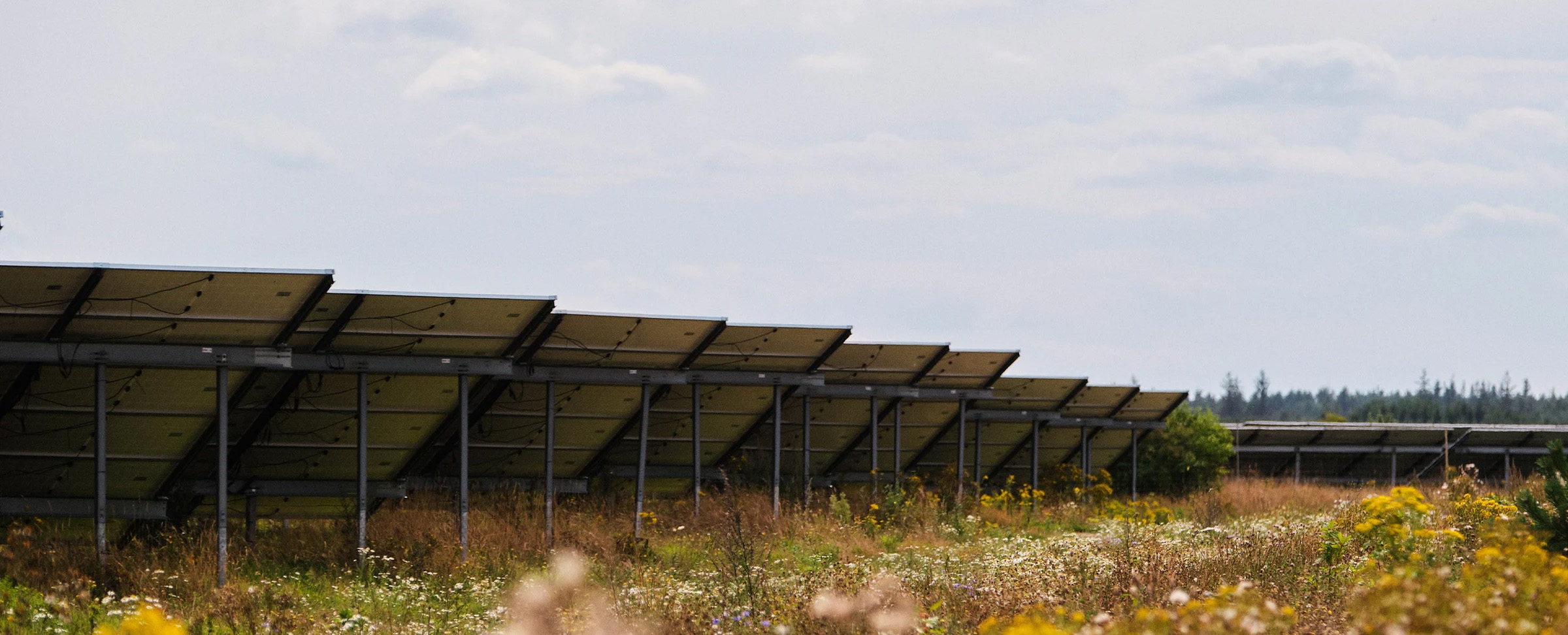 Latest News | Egiss - Global IT Logistics