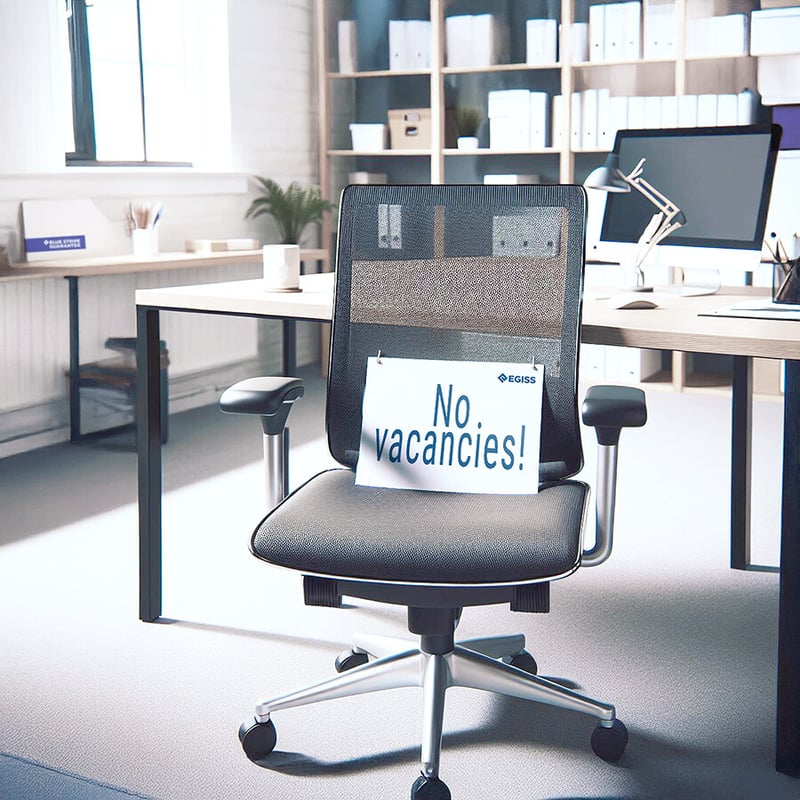 Vacancies | Career | Egiss - Global IT Logistics